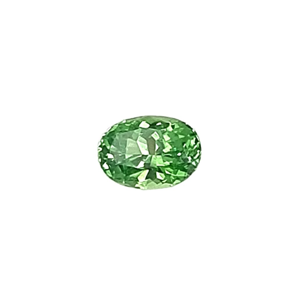 Tzavorite / Green Garnet 1.19ct Oval TZAV0025 - GEMWORLD LTD